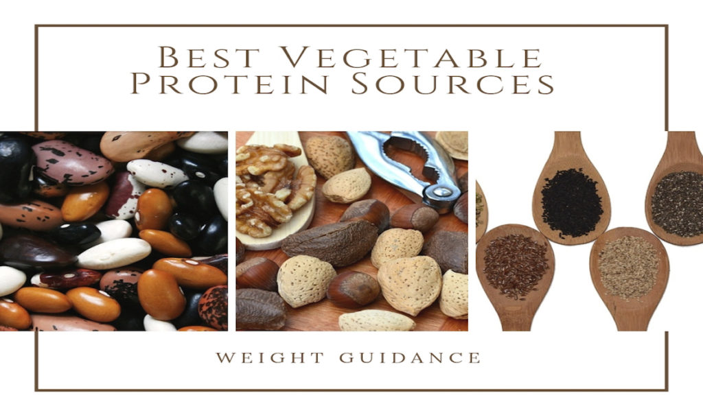 Best Vegetable Protein Sources | Weightletics
